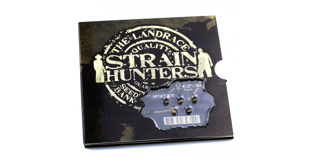 Afgooey Feminised от Strain Hunters Seed Bank купить в Украине в ...