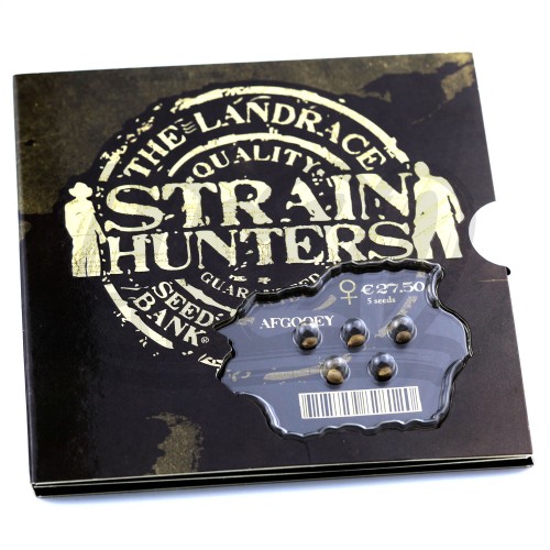 Afgooey Feminised от Strain Hunters Seed Bank купить в Украине в ...