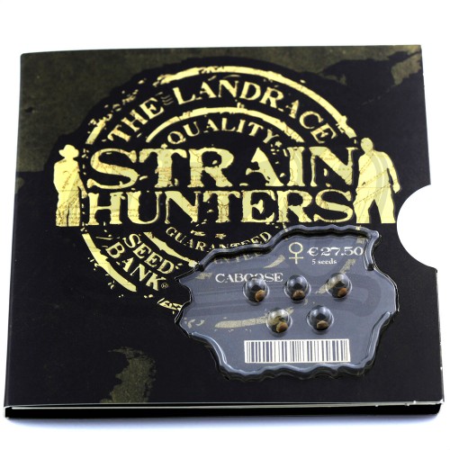 Caboose Feminised от Strain Hunters Seed Bank купить в Украине в ...