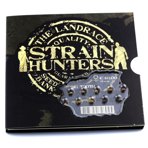 Big Tooth Feminised от Strain Hunters Seed Bank купить в Украине в ...